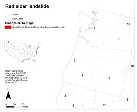Red Alder Landside