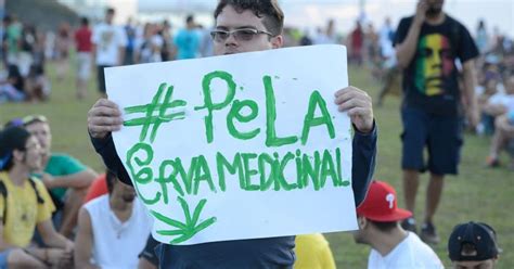 Cfm Estabelece Regras Para Uso Da Cannabis No Tratamento De Doenças Na