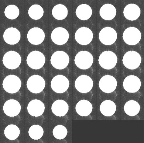 Practical Fmri The Nuts And Bolts Common Persistent Epi Artifacts