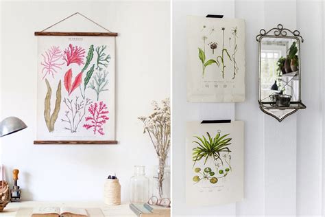 explorar Antibióticos Noche laminas para decorar paredes perfil