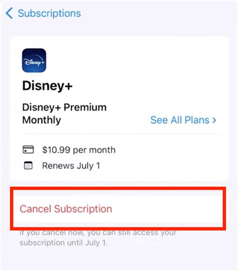 How To Delete Various Subscriptions On Iphone Ultimate Guide