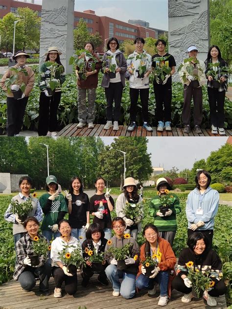 2 4万株又见花开 华东师范大学