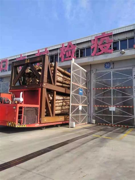 原木运输、码头装卸、处理区装卸作业流程图集展示 液压汇