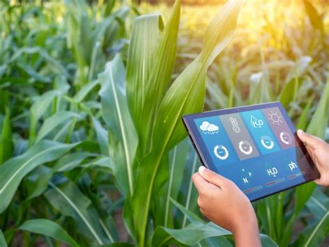 Agricultura Inteligente Con Iot Cultivo De Plántulas De Maíz Con
