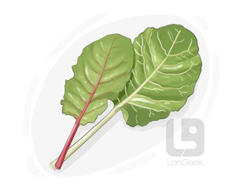 Definition And Meaning Of Chard Langeek