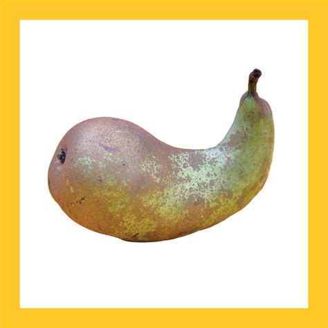 21 Types Of Penises Different Shapes Sizes And What To Know