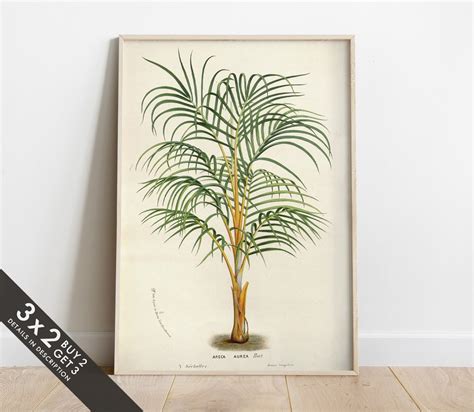 Vintage Plant Poster High Resolution Print Tropical Wall Art Palm