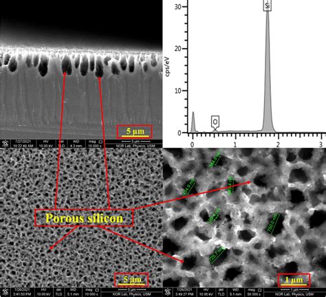 Top View In Different Magnifications Cross Sectional View Images Download Scientific Diagram
