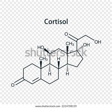 Cortisol Chemical Structure Vector Illustration Isolated Stock Vector Royalty Free 2214708139