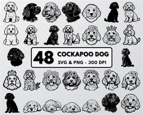 Cockapoo Dog Silhouette Cockapoo Dogs Svg Bundle Cockerpoo Puppies