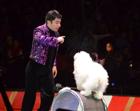 Olate Dogs Alchetron The Free Social Encyclopedia