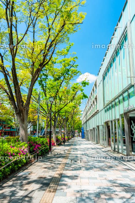 東京 原宿 春の表参道の写真素材 212173084 イメージマート
