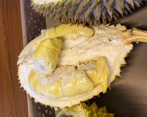 Wonosobo Lagi Candi Setyaki Dan Durian Keseneng