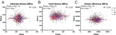 material property correlations between femur and radius correlation of