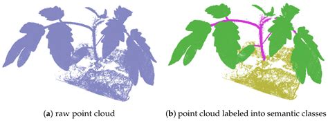 Semantic Segmentation Method For High Resolution Tomato Seedling Point