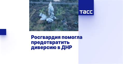 Росгвардия помогла предотвратить диверсию в ДНР