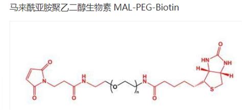 Biotin Peg Alkyne 生物素 聚乙二醇 炔烃 的结构式 Udp糖丨mof丨金属有机框架丨聚集诱导发光丨荧光标记推荐西安齐岳生物