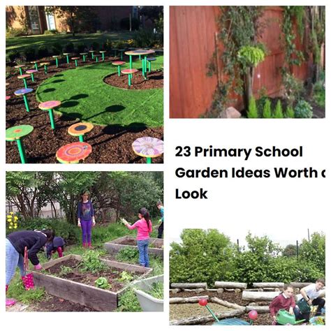 23 Primary School Garden Ideas Worth A Look Sharonsable
