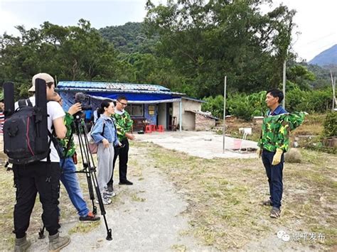 央广节目组聚焦恩平市那吉镇养蜂采蜜基地 镇街动态 恩平市人民政府门户网站