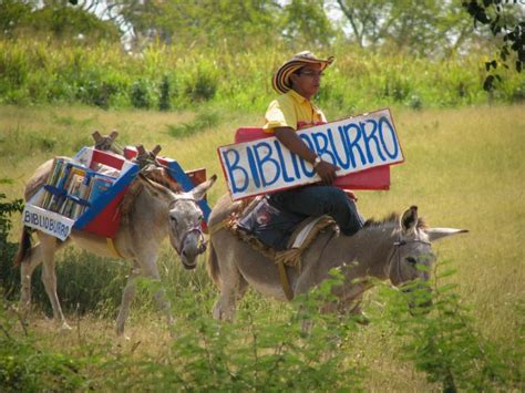 Viajando En El Biblioburro Con Profe En Tu Casa Del 17 De Noviembre