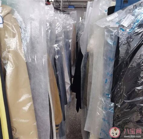 羽绒服怎么存放更合适 蚂蚁庄园3月23日答案解析 八宝网