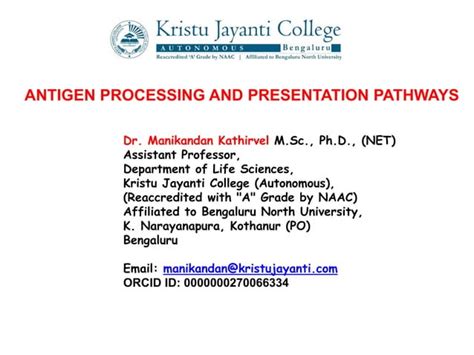 Lecture On Antigen Processing And Presentation Pathways Ppt