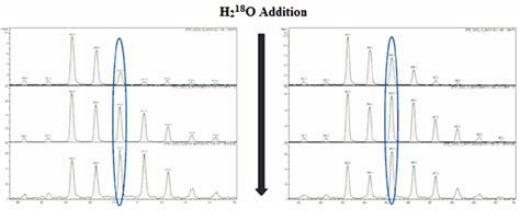 Positive Csi Ms Spectrum Of Pc T Bu 4 Fe Iv Ocl Experimental Download Scientific