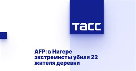 Afp в Нигере экстремисты убили 22 жителя деревни