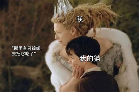 Meme梗图：洗澡时试图习惯水温的我 哔哩哔哩