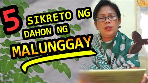 Dahon Ng Malunggay Health Benefits Tagalog Para Sa Ubo Sugat Immune System Skin Body