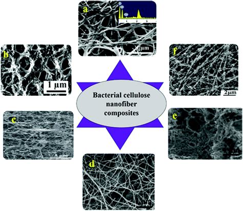 Extraction And Modification Of Cellulose Nanofibers Derived From Biomass For Environmental