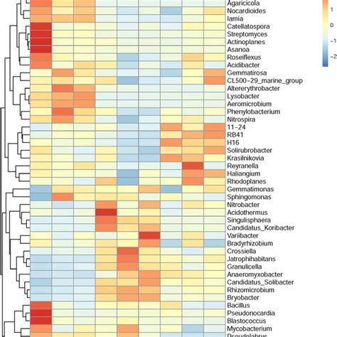 Heatmap And Hierarchical Cluster Analysis Based On The Relative