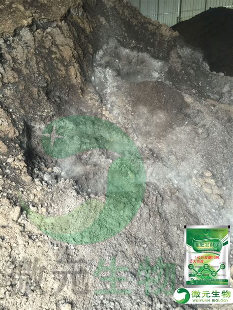 药渣堆肥发酵有机肥中药渣发酵有机肥发酵剂中药渣有机肥发酵生产工艺流程