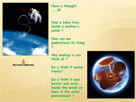 Amniotic Fluid Ppt Pptx