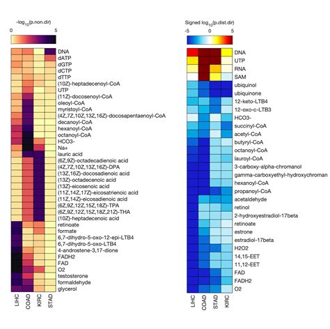 User Guide Gene Set Analysis Matlab