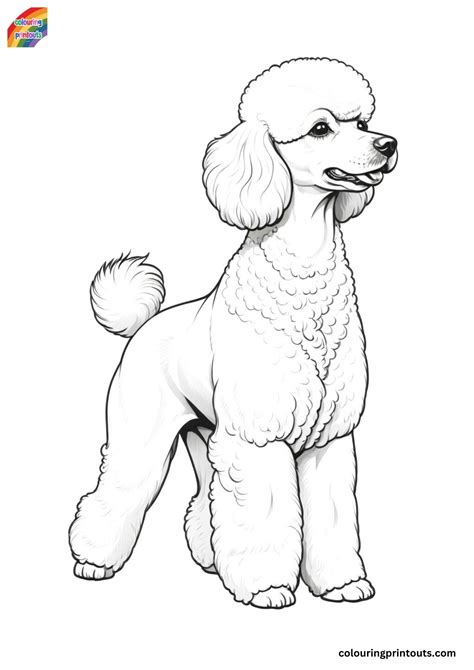 15 Coloring Pages Of Poodles Free Printables