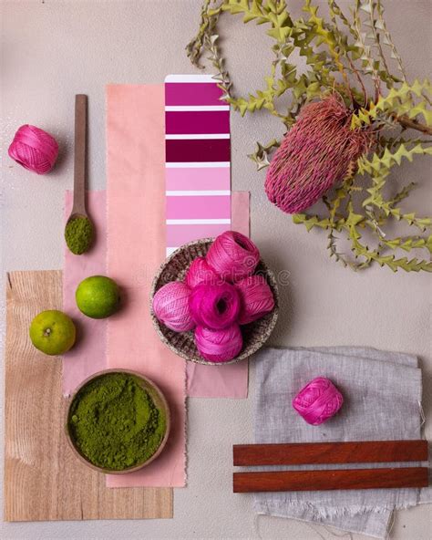 Color Palette Mood Board For Interior Design And Decor Stock Image