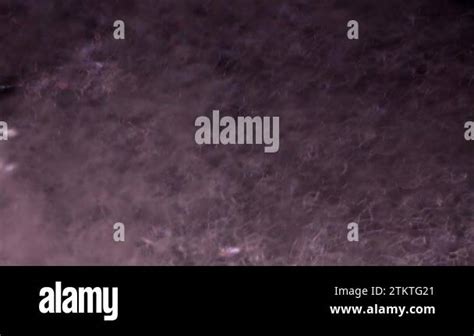 Bubble Structure Stock Videos And Footage Hd And 4k Video Clips Alamy