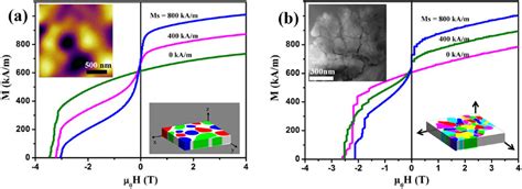 Simulated Demagnetization Curves For The Surface Area A And Center