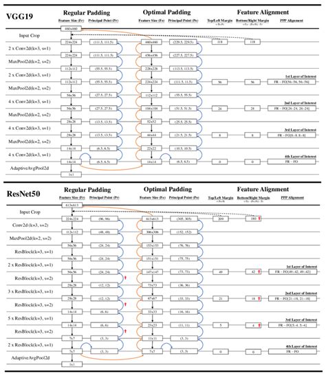 The Architecture For Vgg19 And Resnet50 Used In The Paper We Mark The Download Scientific