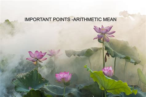 Hour Is All You Need To Learn About Arithmetic Mean