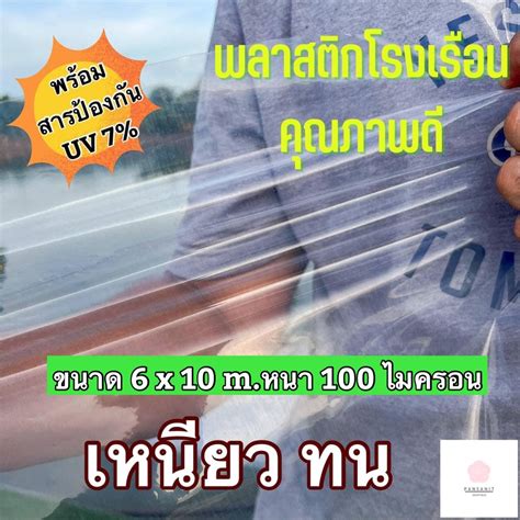 พลาสติกโรงเรือน 6 0 X 10 เมตร พลาสติกใส บอนสี ไม้ด่าง หน้ากว้าง 6 0
