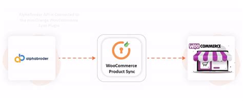 Connect Alphabroder Apis To Sync Products Into Woocommerce
