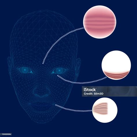 어두운 배경에 파란색 선의 소녀 머리의 와이어 프레임 증가 피부 규모와 화살표가 있는 소녀의 다각형 얼굴 여성의 얼굴의 확대