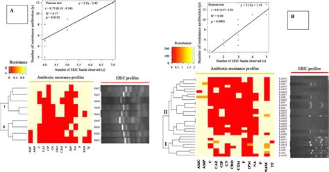 Impact Of Genetic Diversity Of Uropathogenic Escherichia Coli And