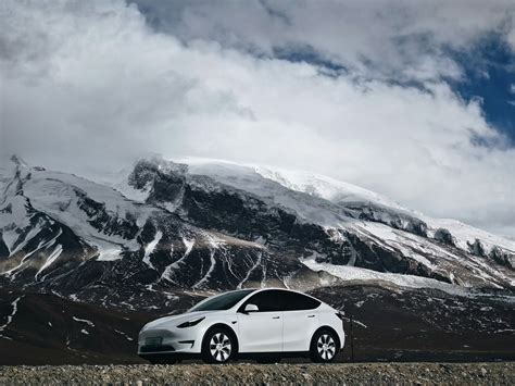 Tesla Model Y China 11 Teslarati