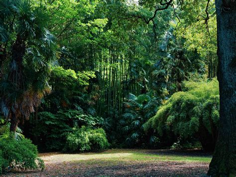 Pourquoi La Biodiversité Est Importante Pour Lenvironnement