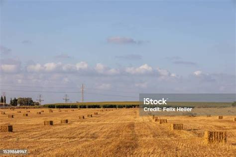 여름에 해질녘에 건초 더미의 전망 건초 더미의 전망 농업 건초 더미로 수확 후 밭 농지 짚 초원이 있는 풍경 곡물 작물 노란 밀 수확 0명에 대한 스톡 사진 및 기타 이미지