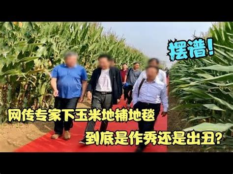 专家脚踩地毯考察惹争议官方回应为安全啥时候种地成高危职业 YouTube