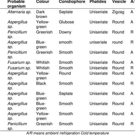 Colony Morphology Of Isolated Fungi From C Indica P Tuber Regium And